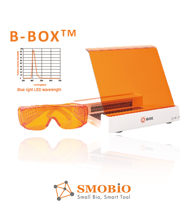 B-BOX